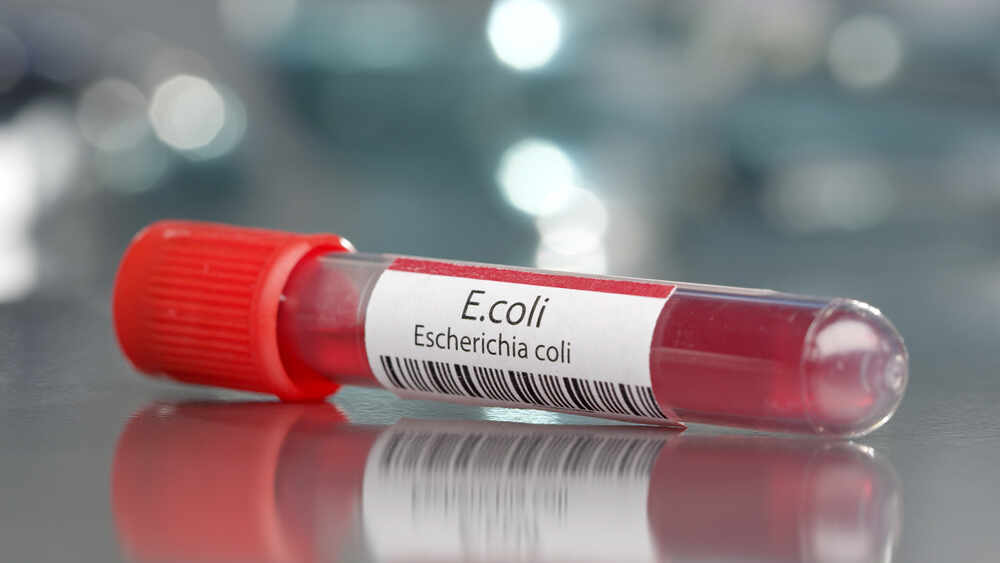 E. Coli ALERT — Beef Recall Hits Multiple States | American Prosperity